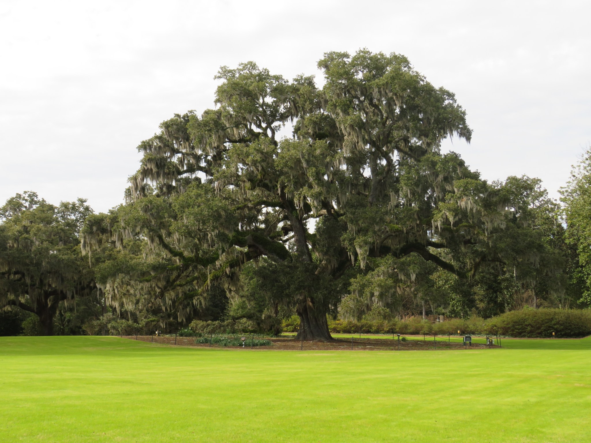 Airlie Gardens, Wilmington, North Carolina – John Cowgill: Stories of ...