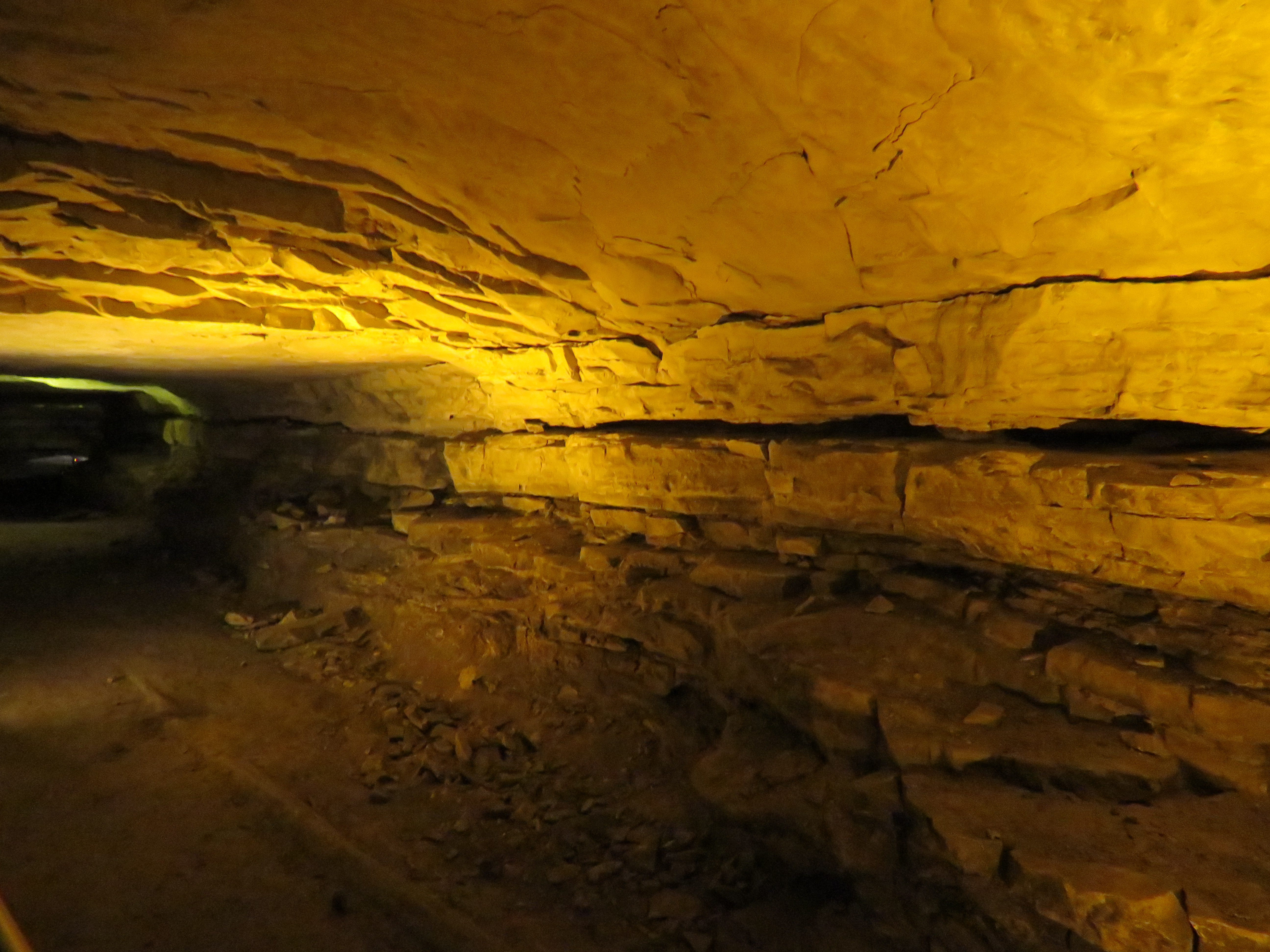 Mammoth Cave National Park, Cave City, Kentucky – John Cowgill: Stories ...