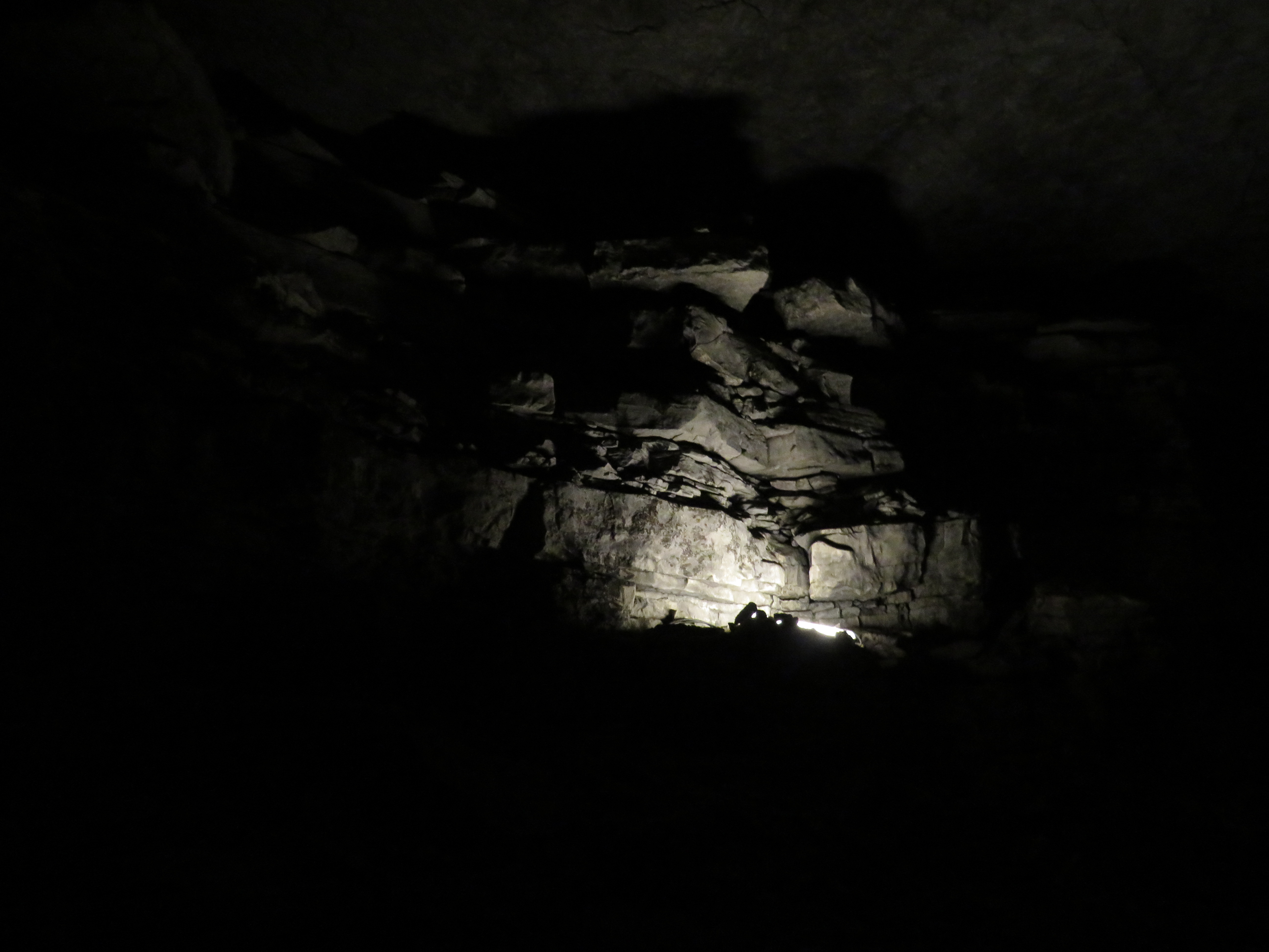 Mammoth Cave National Park, Cave City, Kentucky – John Cowgill: Stories ...
