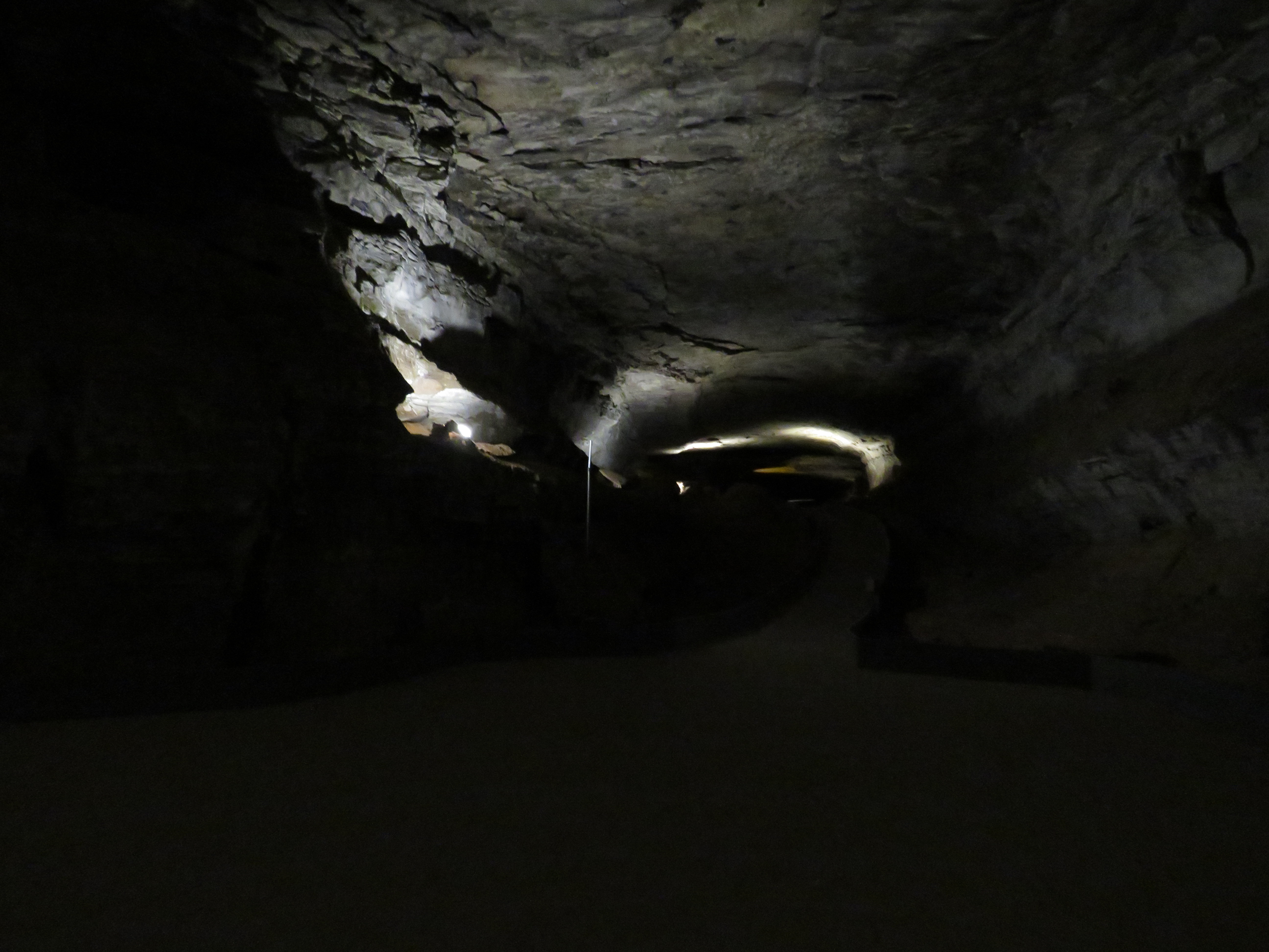 Mammoth Cave National Park, Cave City, Kentucky – John Cowgill: Stories ...