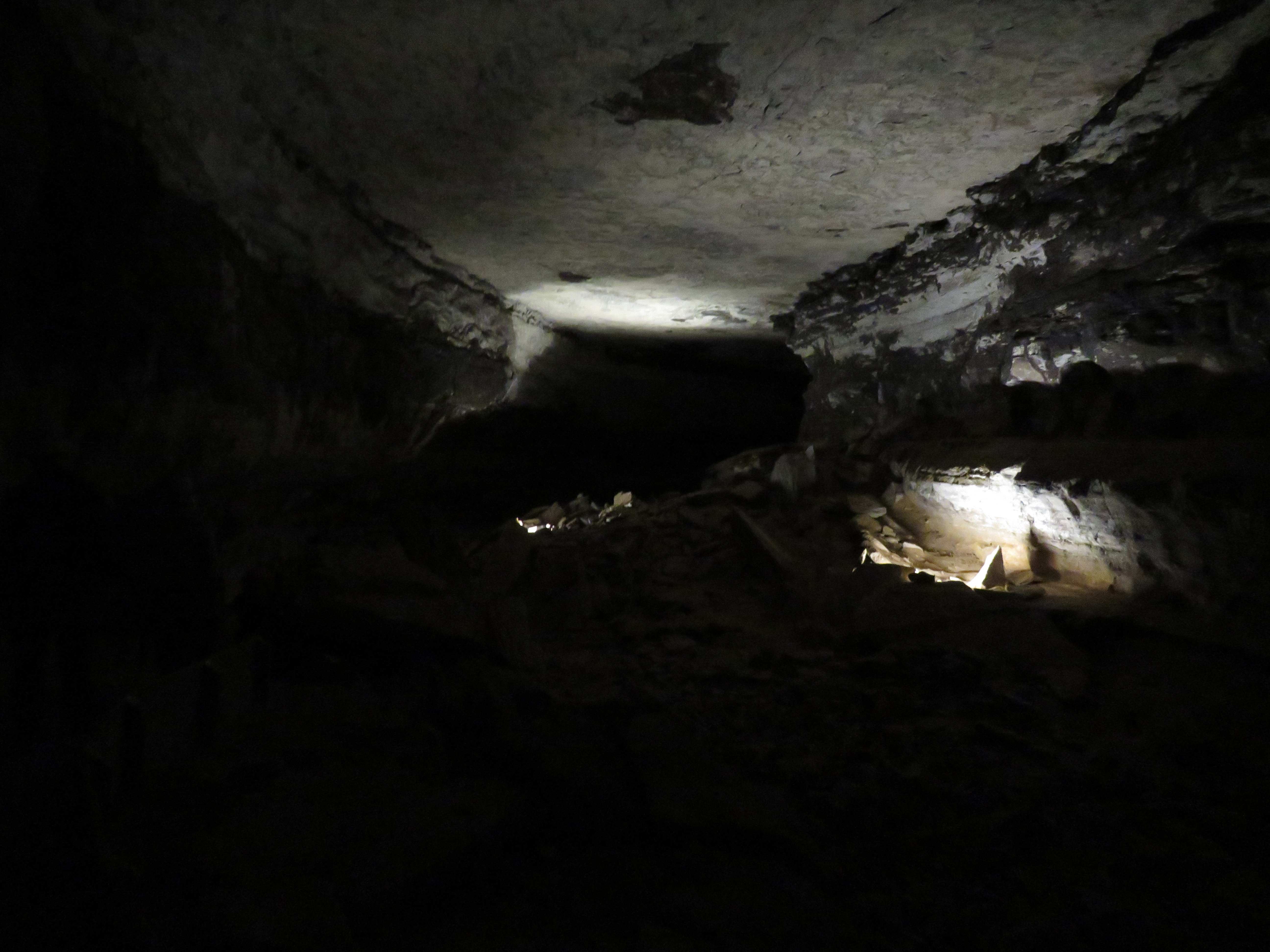 Mammoth Cave National Park, Cave City, Kentucky – John Cowgill: Stories ...
